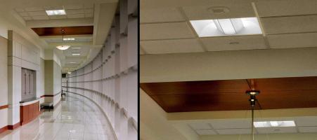 Luna | Focal Point Lights