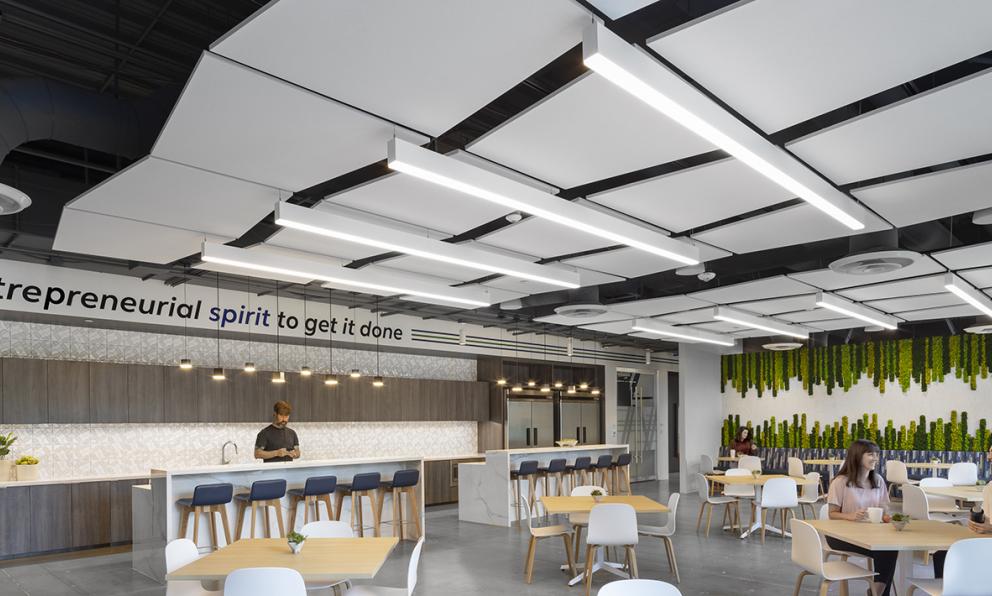 Seem 2 LED Pop-Down Lens FSM2LS-PD | Focal Point Lights